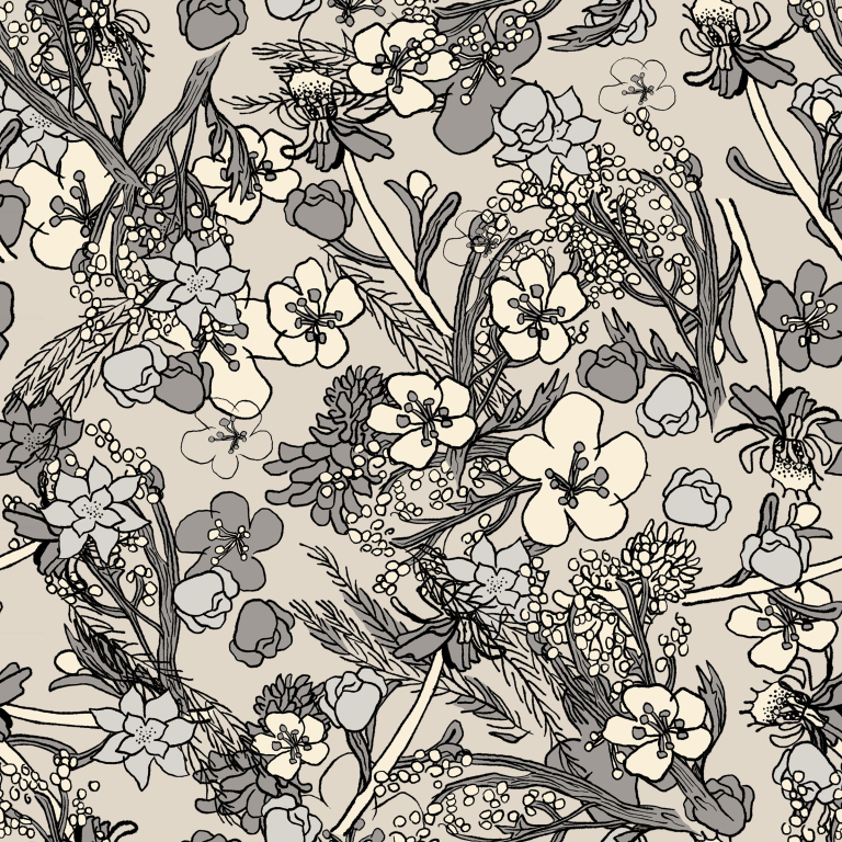 Patterns – jessie donaldson